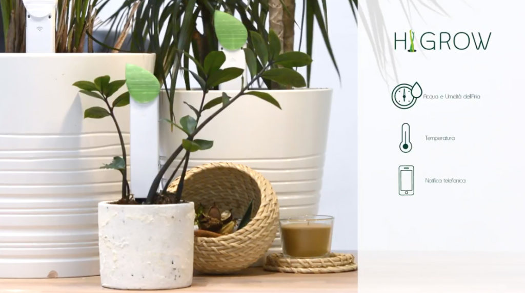 HiGrow: la tua pianta ti parla - Wanna Magazine